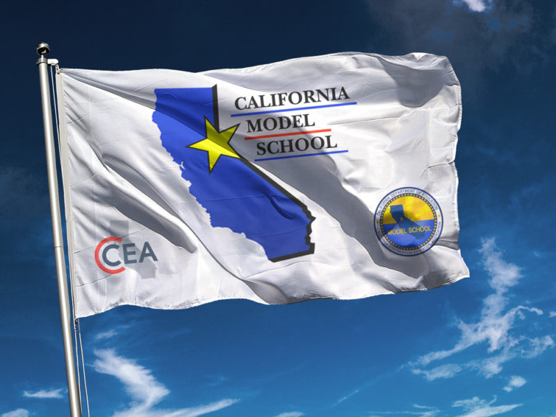 Model Continuation High School (MCHS) - CCEA Plus - California ...